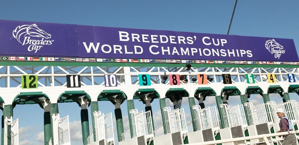 Exacta Bet Explained - Exactor Box, Key & Wheel Wagering Strategy