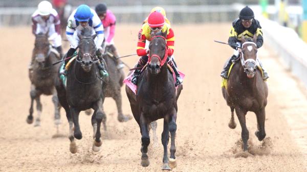Rebel Stakes Picks and Predictions: Coal Battle Ready to Spring the ...